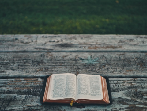 June 2026 Sunday School Study Guide and Word Search Puzzle ...
